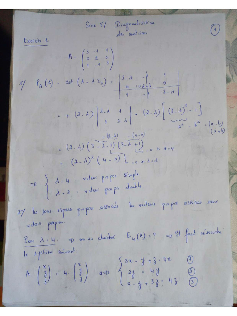 Correction de La Série Diagonalisation | PDF