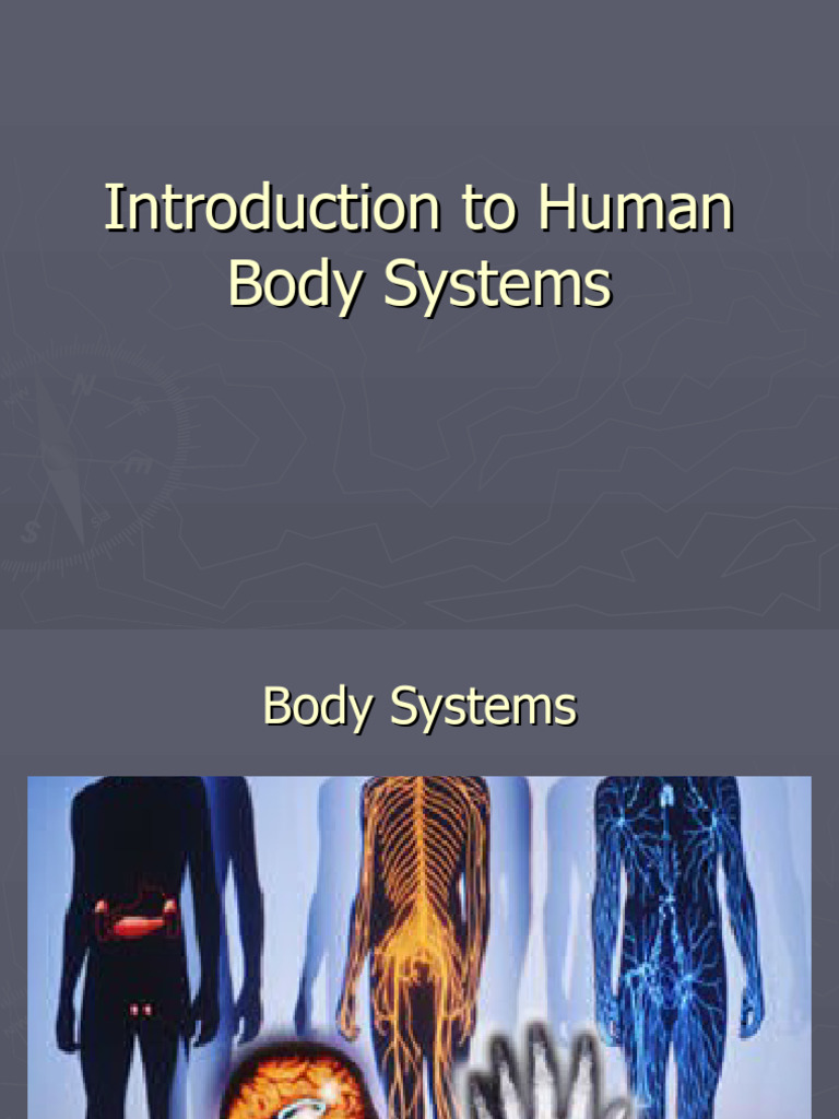 Introduction To Human Body Systems Teaching | PDF | Human Body | Human ...