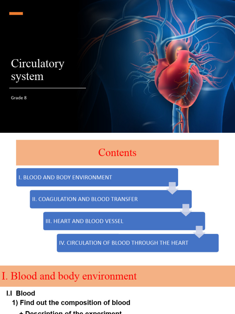 Circulatory System | PDF