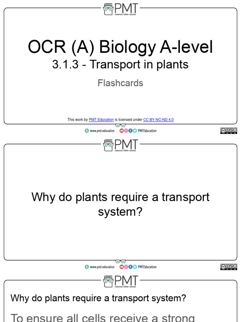 Flashcards - Topic 3.3 Transport in Plants - OCR (A) Biology A-Level ...
