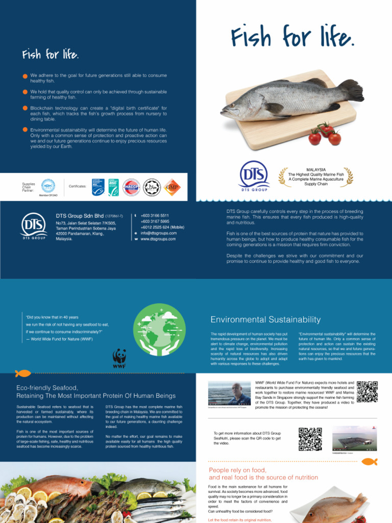 DTS Company Profile | PDF