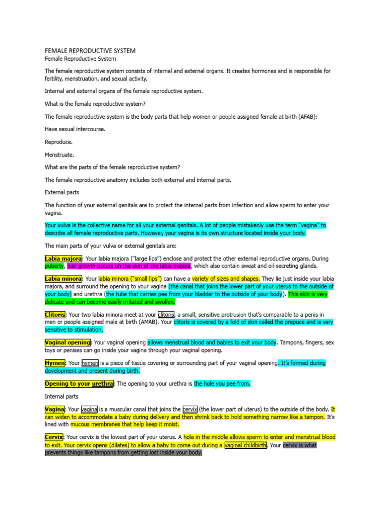 Overview of the Female Reproductive System | PDF | Menstrual Cycle | Labia