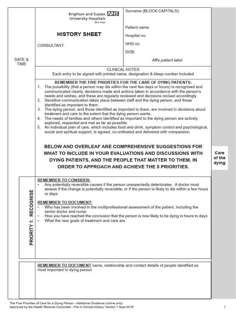 Individualised Care Plan Comprehensive Guidance | PDF | Patient ...