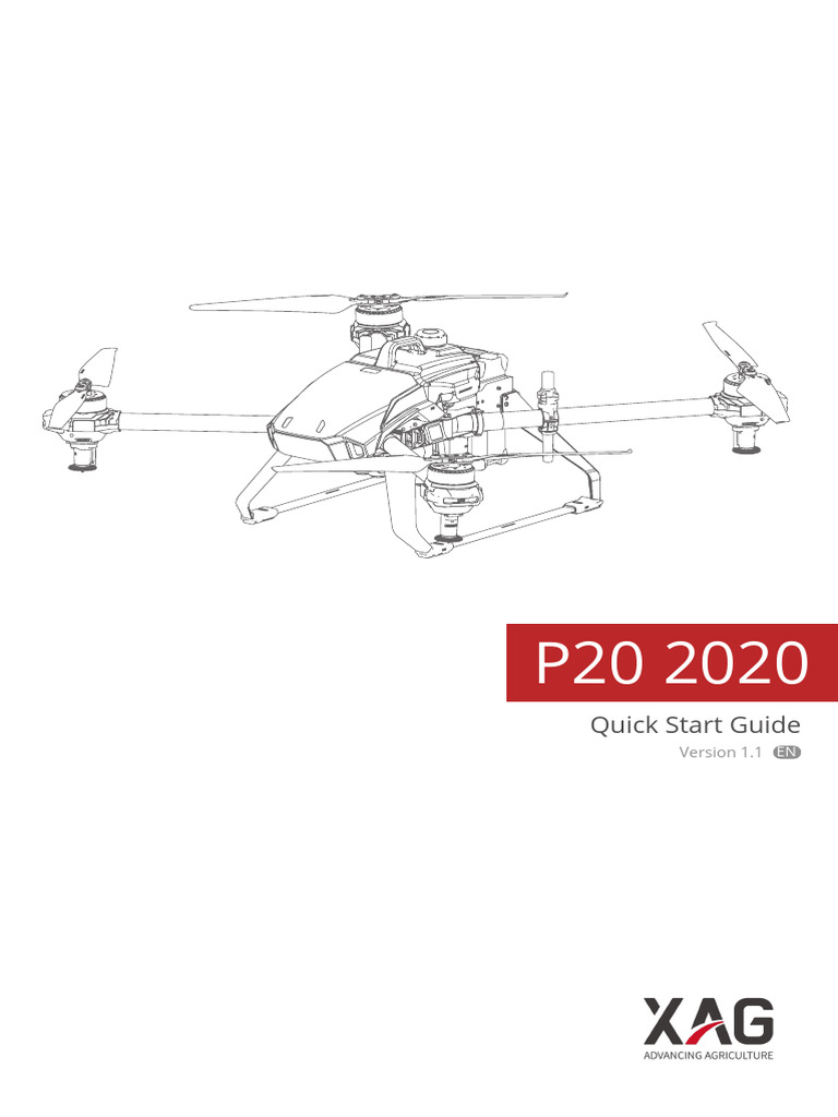 P20 2020 Quick Start Guide-V1.1 EN202107151146 | PDF | Battery Charger ...