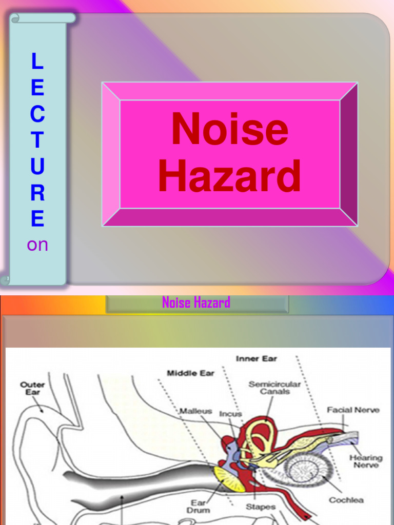 Noise Hazard | PDF | Noise | Hearing Loss