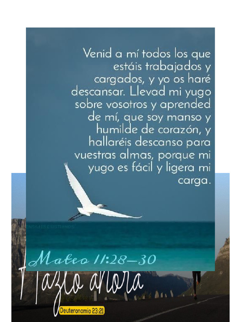 HAZLO AHORA | PDF