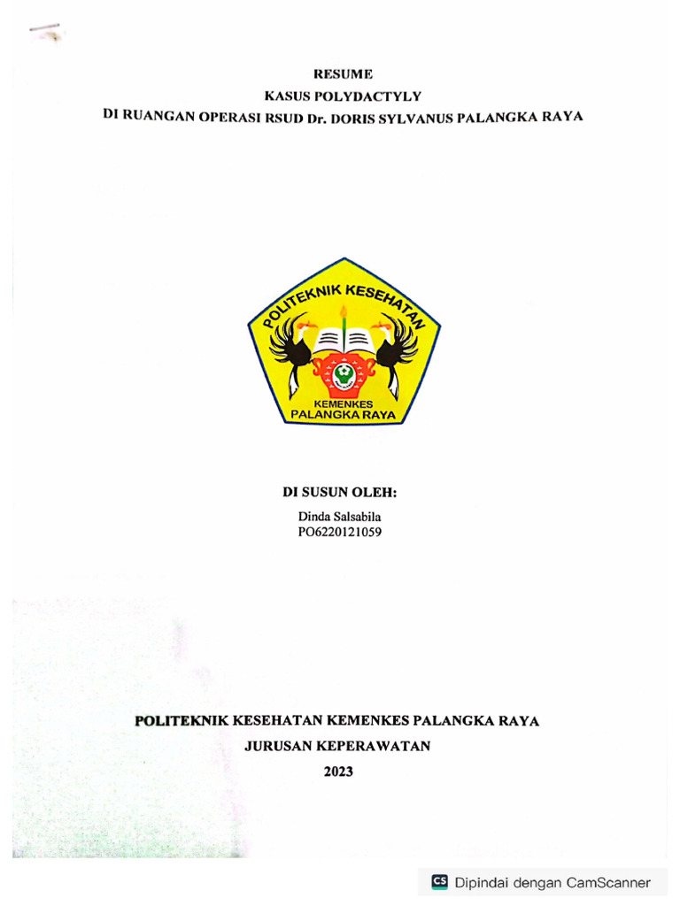 Resume Ruang Oka | PDF