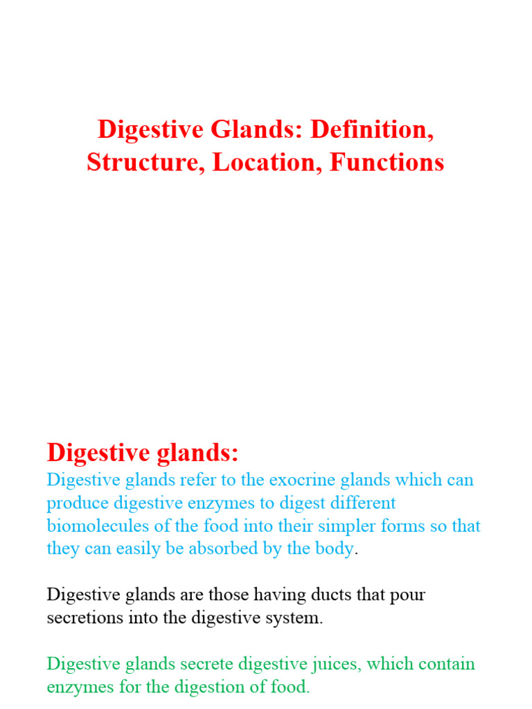 Digestive Glands Structure and Functions | PDF | Liver | Stomach