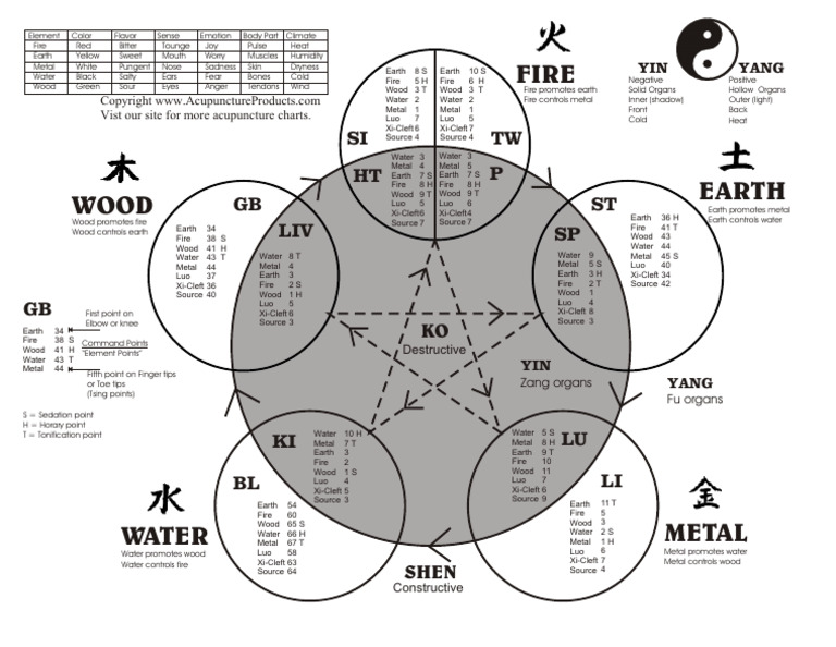 Five Element Theory | PDF | Taste | Yin And Yang