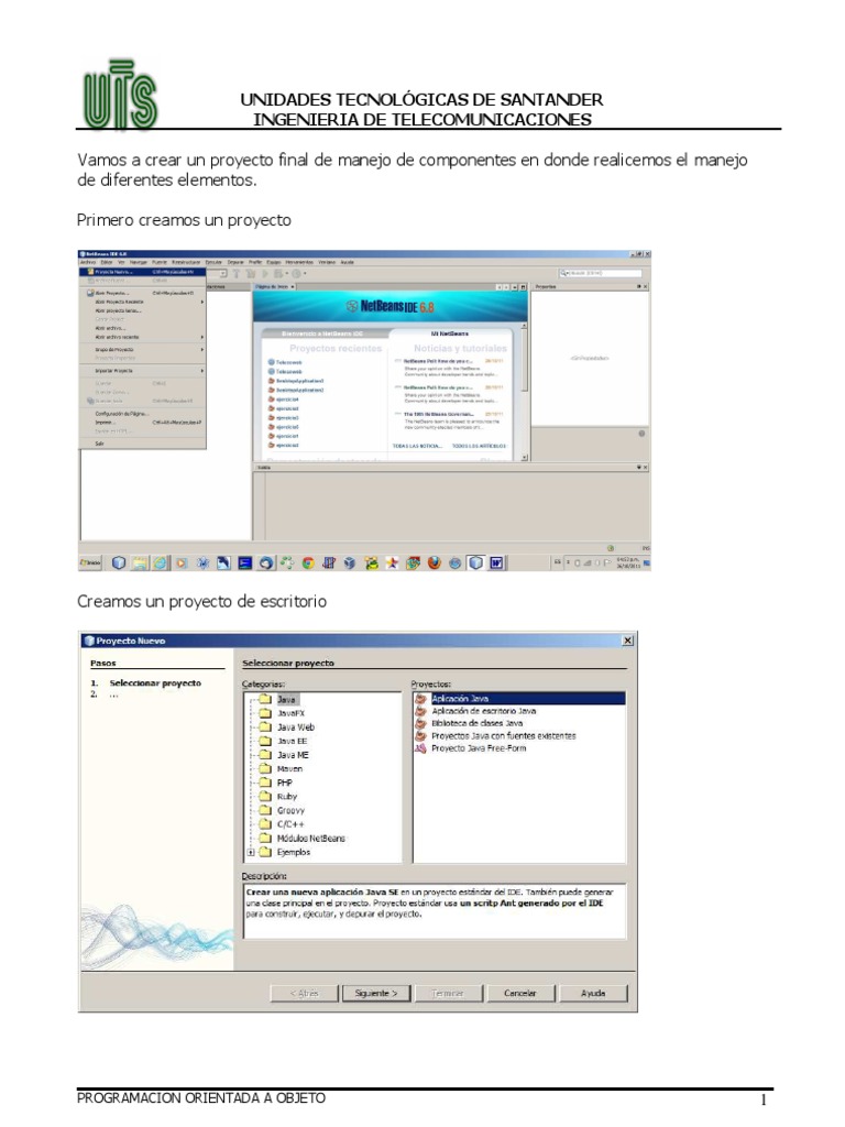 Practicas de Proyecto Netbeans | PDF | Ventana (informática) | Contraseña