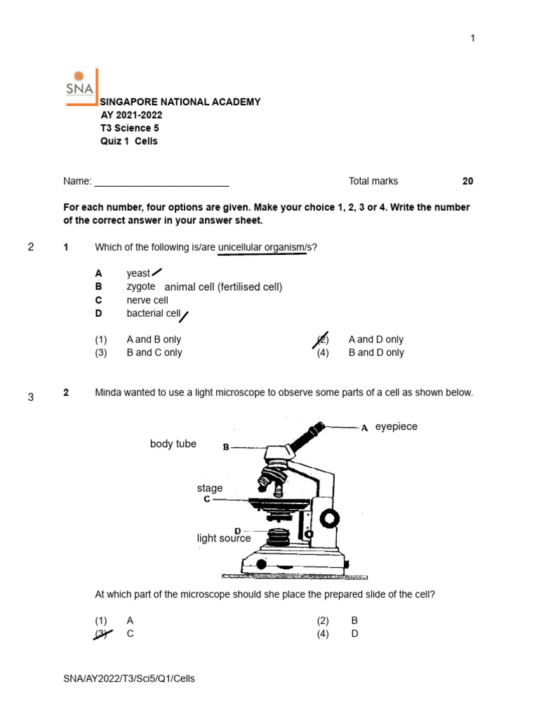 Quiz 1 Cells Answer Key | PDF | Cell (Biology) | Chloroplast