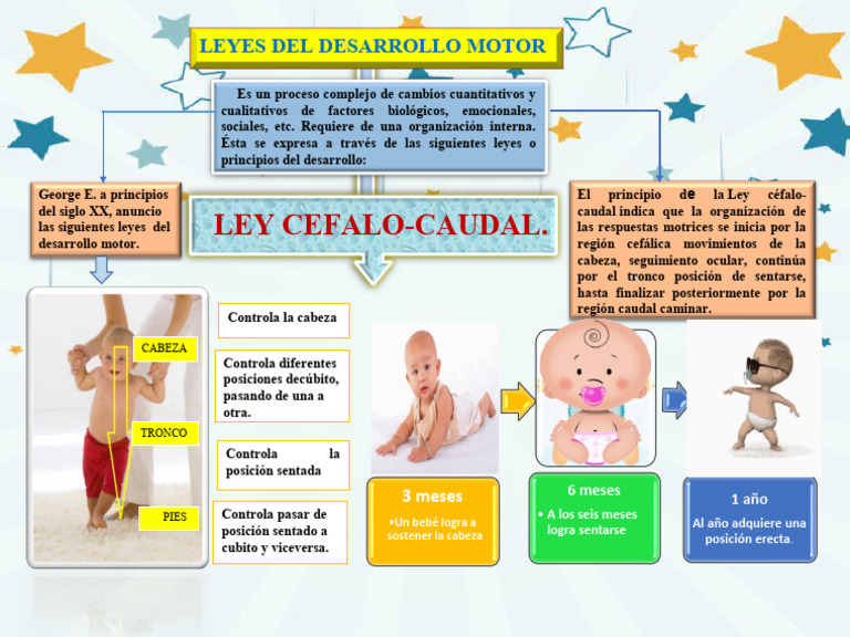 Cefalo Caudal | Descargar gratis PDF | Ciencias del comportamiento
