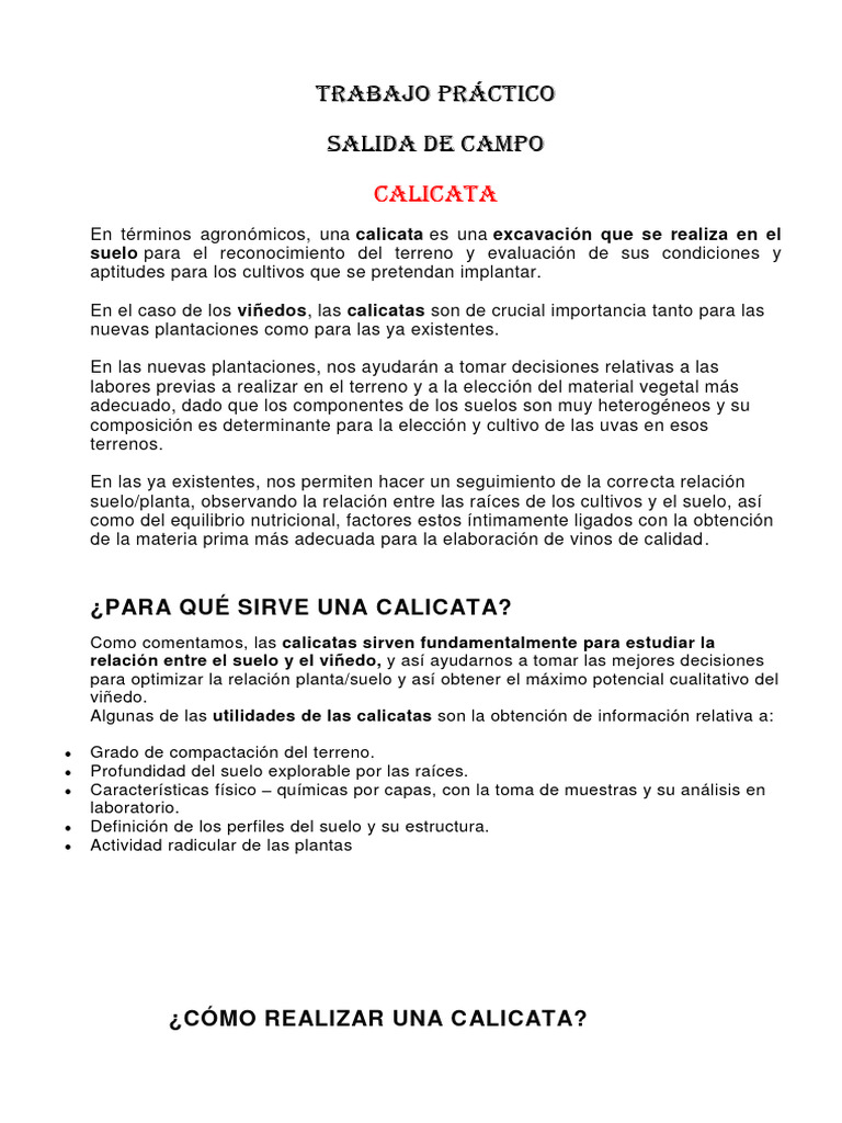 Calicata Práctico | PDF | Suelo | Agricultura