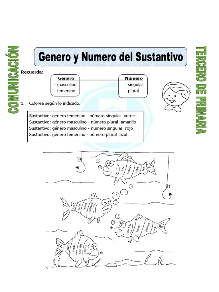 Ficha Genero Del Sustantivo para Tercero de Primaria | PDF | Morfología Lingüística