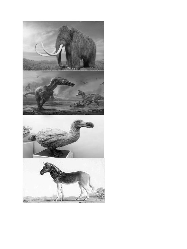 Extincts and Small Amount of Animal | PDF