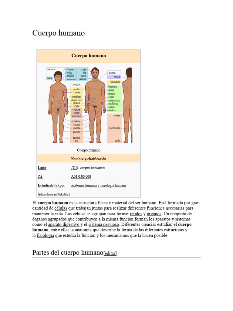 Estructura y funciones del cuerpo humano | PDF | Cuerpo humano | Anatomía