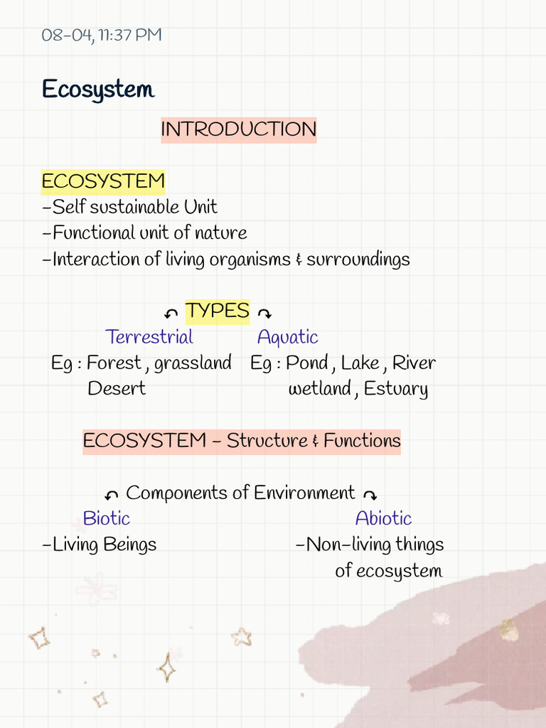 Ecosystem Notes by Andleaf | PDF | Ecosystem | Food Web