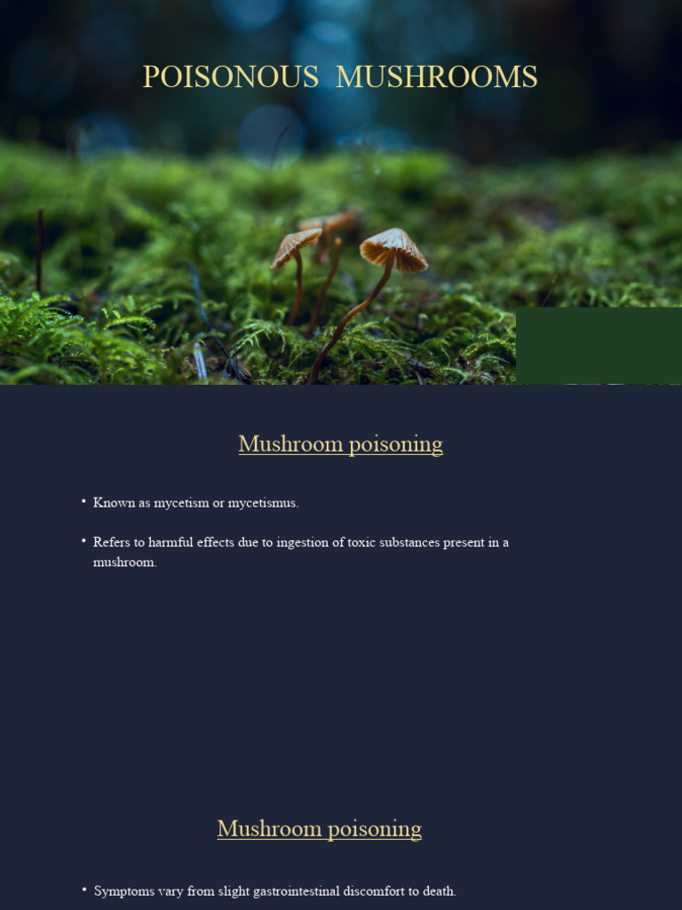 Poisonous Mushrooms | PDF | Mushroom | Mycology