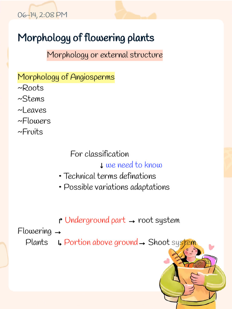 Morphology of Flowering Plants Notes | PDF | Leaf | Seed