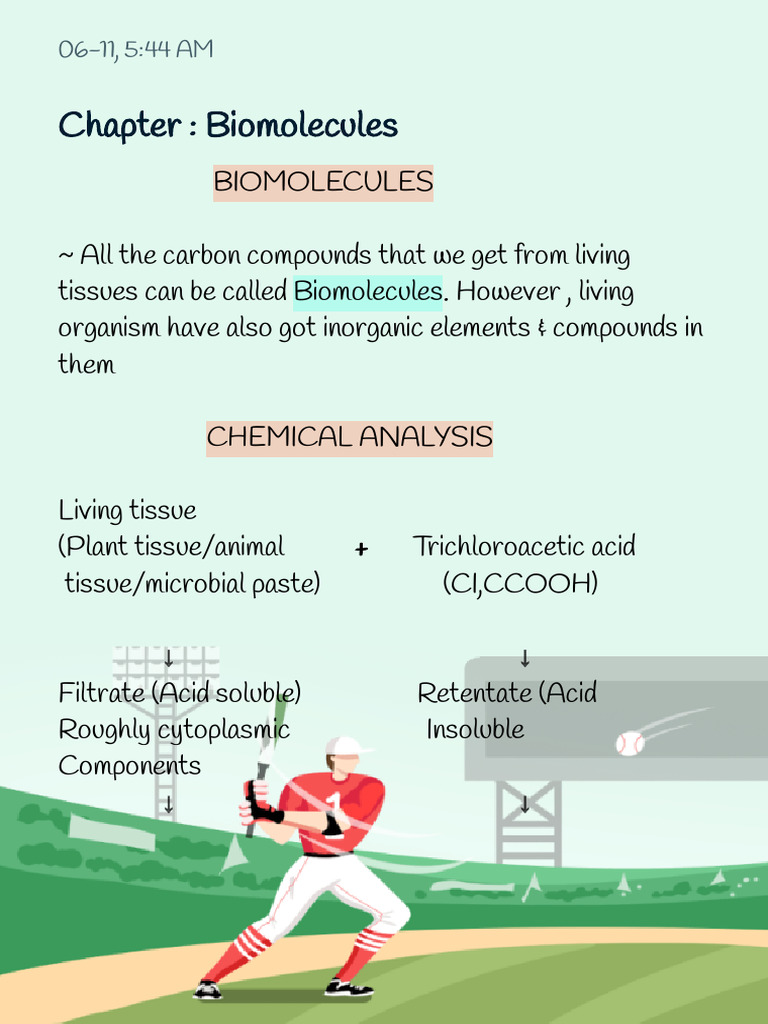 Biomolecules Notes by Andleaf | PDF | Biomolecules | Enzyme