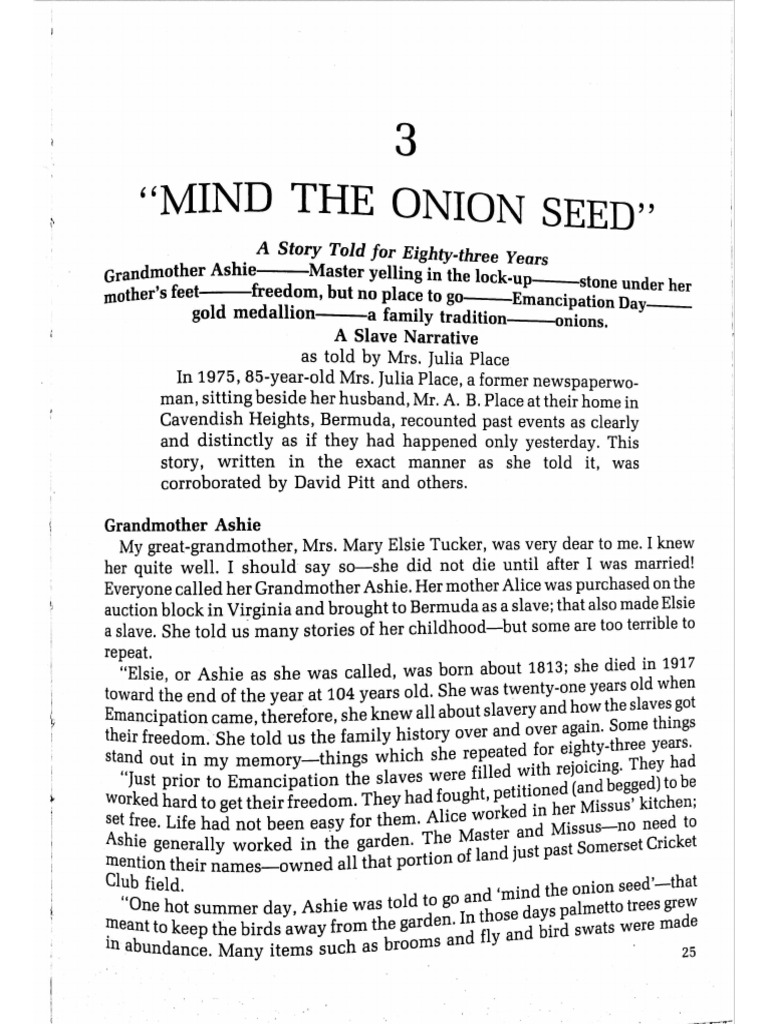 Mind The Onion Seed 2 | PDF