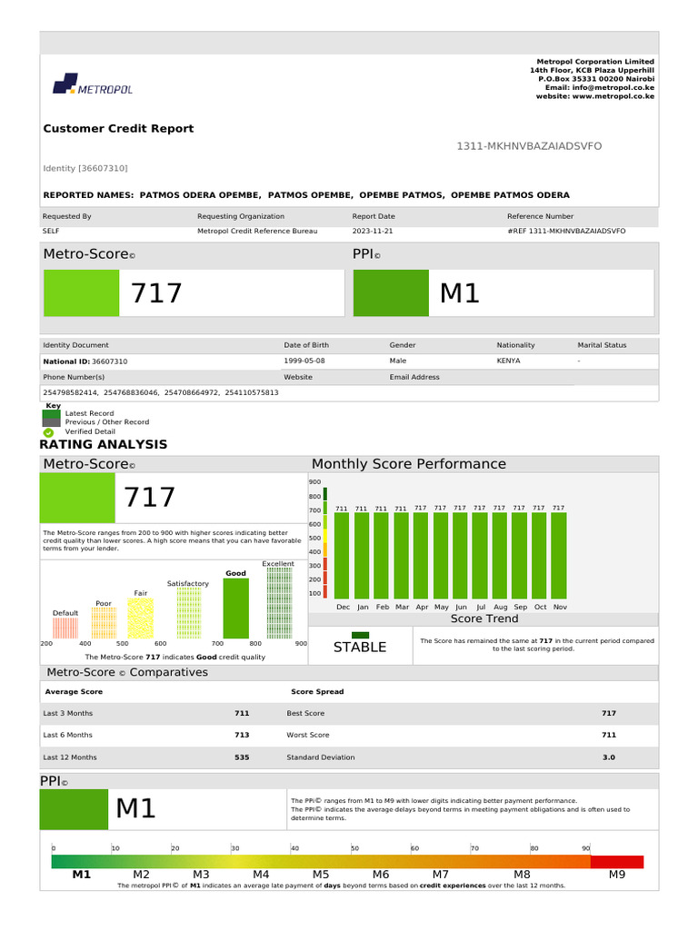 4 Report | PDF | Debt | Overdraft