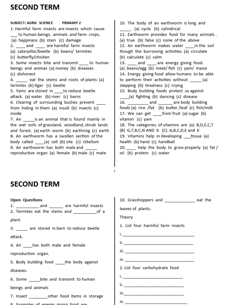 primary 2 | PDF | Jesus | Foods