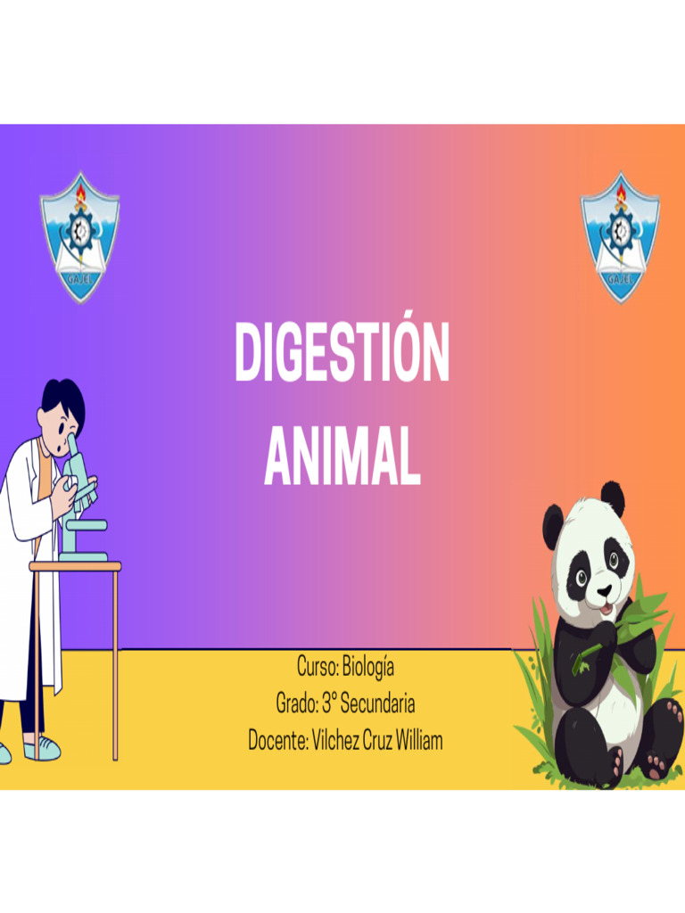 digestión-animal-3°-secundaria | PDF | Digestión | Sistema digestivo humano