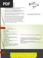 CAE Constatacion | PDF