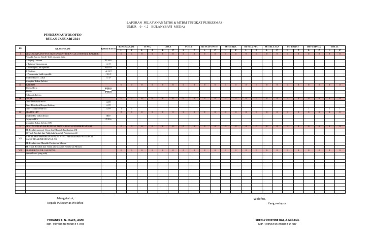 Form Lap - MTBS Bayi Muda 2 BLN | PDF
