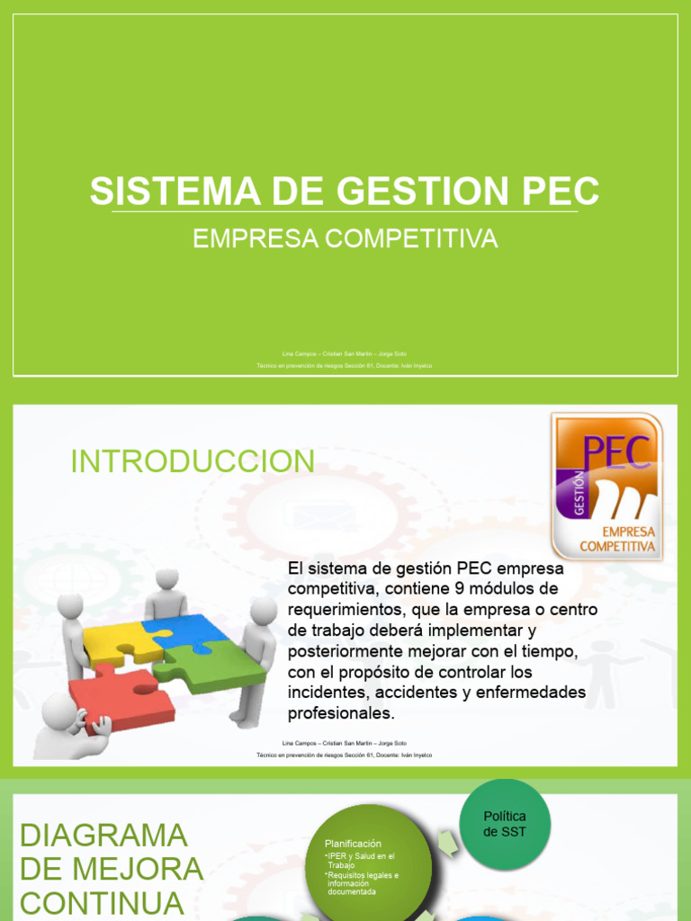 Sistema de Gestion Pec Final-1 | PDF | Auditoría