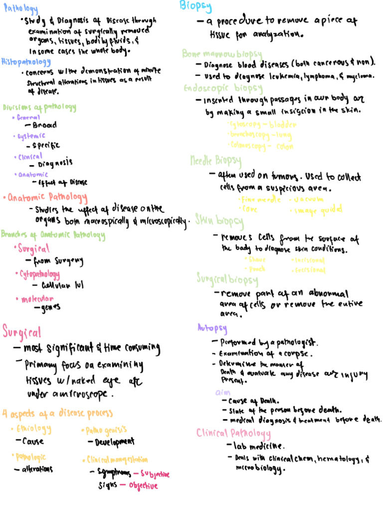 Histopath Prelims | PDF
