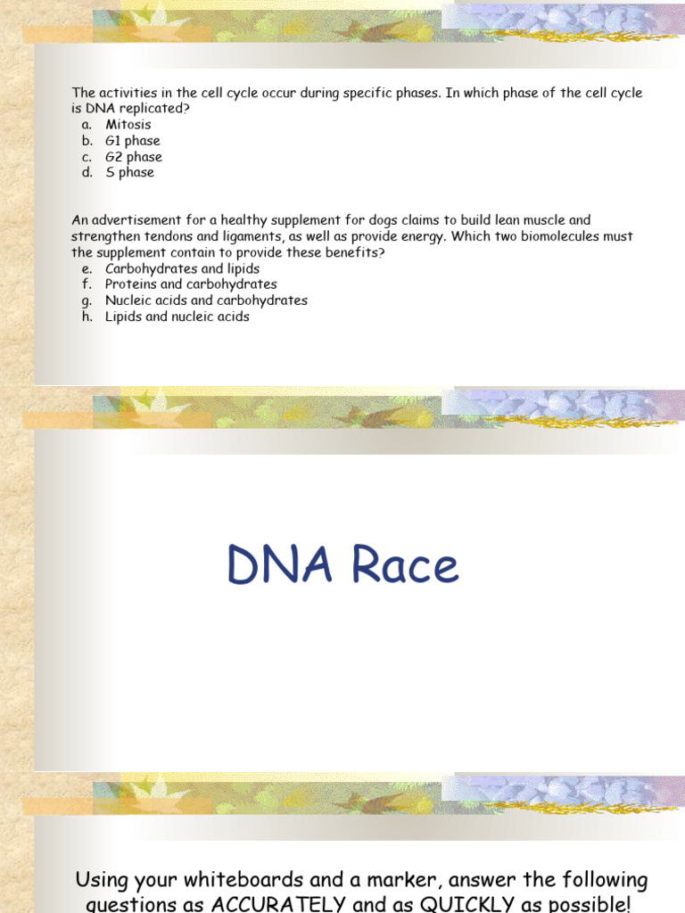 DNA Race | PDF | Dna | Dna Replication