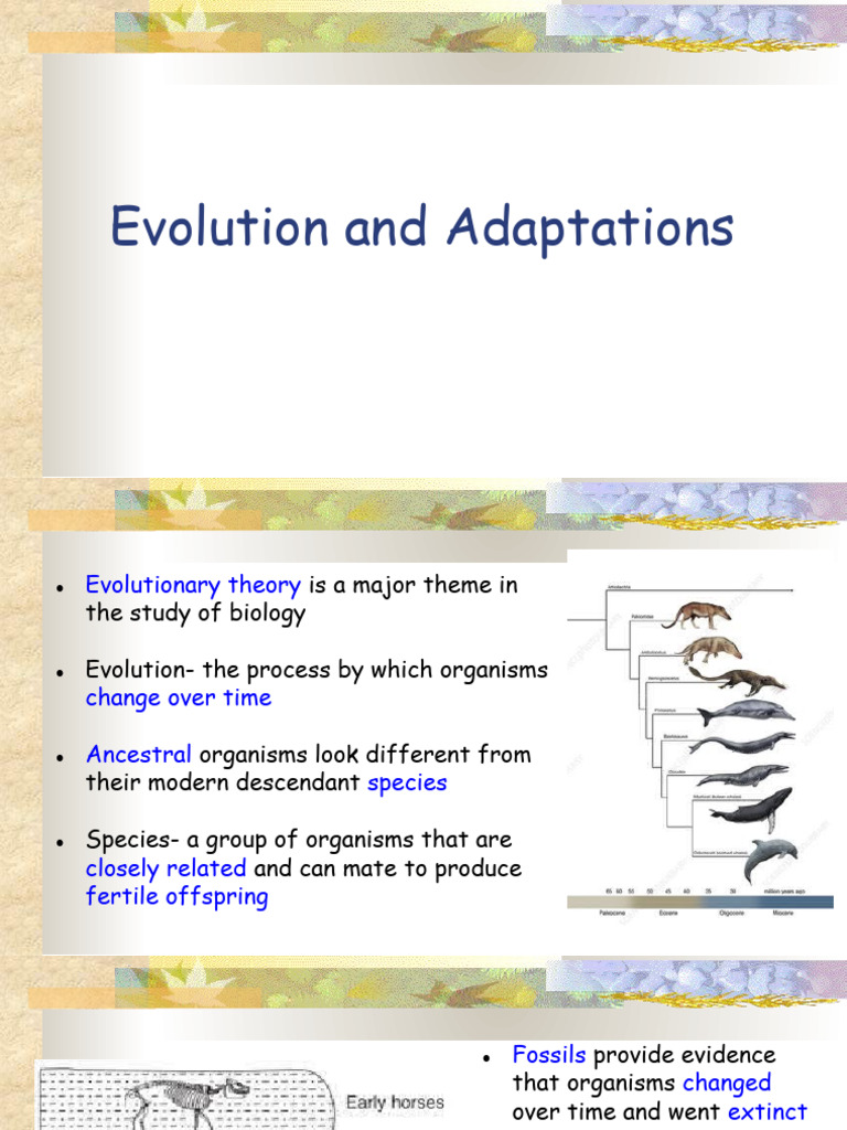 Evolution | PDF | Natural Selection | Evolution