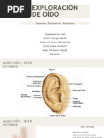 Otoscopia Normal | PDF | Oído | Anatomía