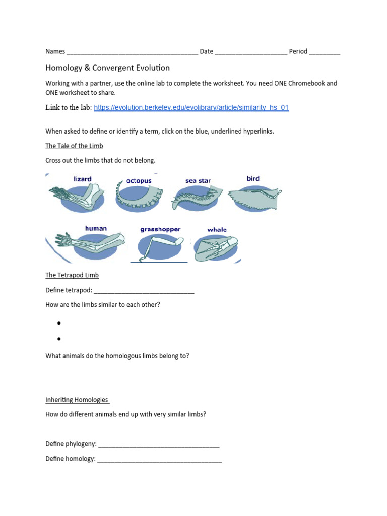 Homology & Convergent Evolution Lab Worksheet | PDF | Homology (Biology ...