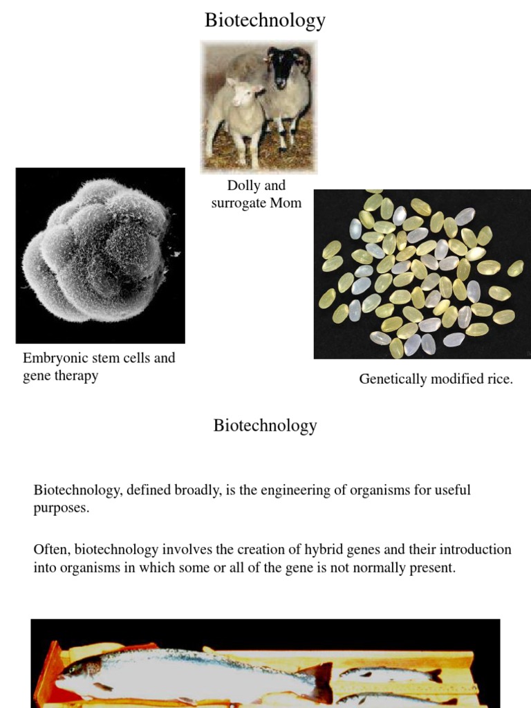 Biotechnology: Dolly and Surrogate Mom | PDF