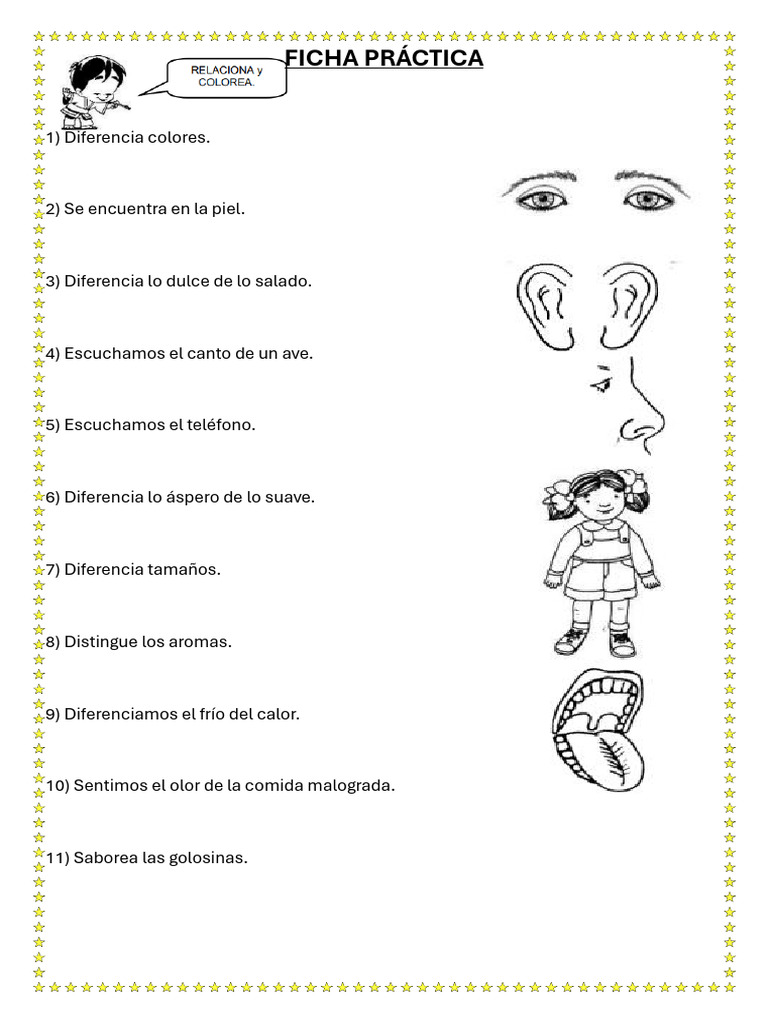 2do-FICHA PRÁCTICA Sentidos | PDF