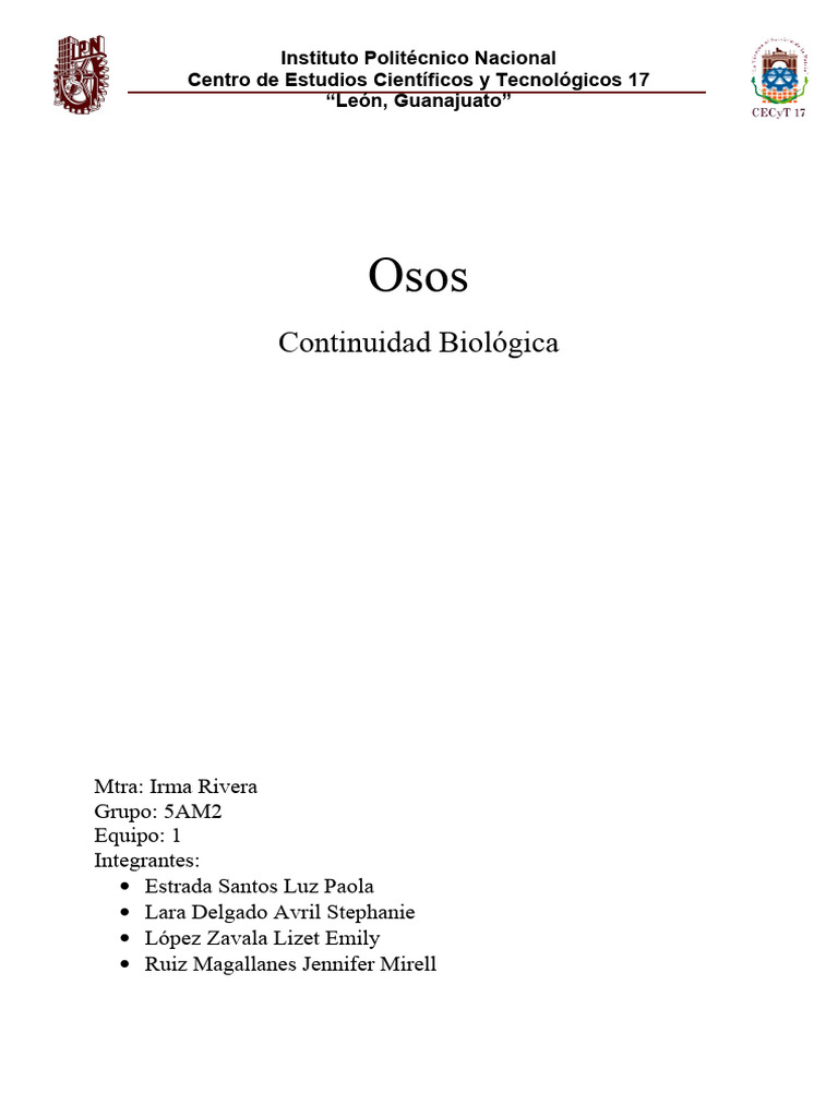 C.B 1 | PDF | Osos | Animales carnívoros