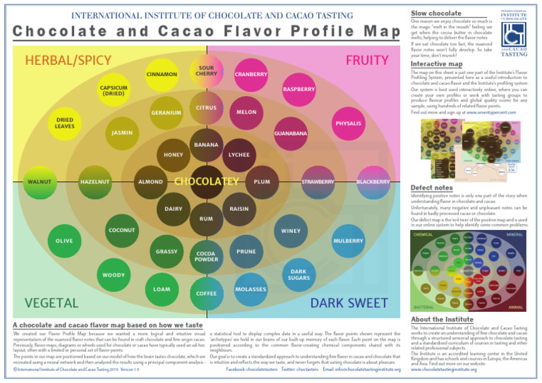 IICCT Flavor Map A3 Poster v1.0 EN | PDF | Chocolate | Taste