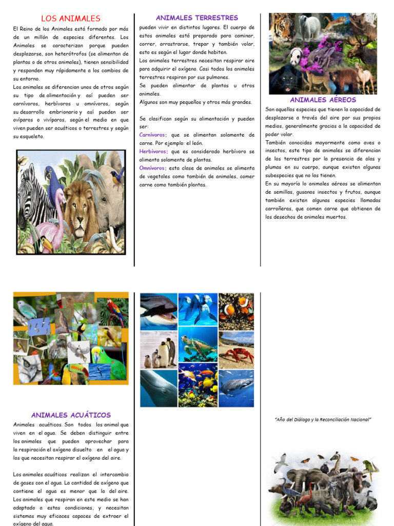 Clasificación de Animales Terrestres, Aéreos y Acuáticos | PDF ...