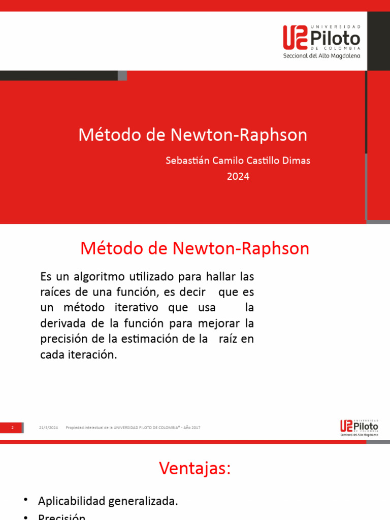 Metodo Newton Raphson | PDF | Matemáticas Aplicadas | Programación de computadoras