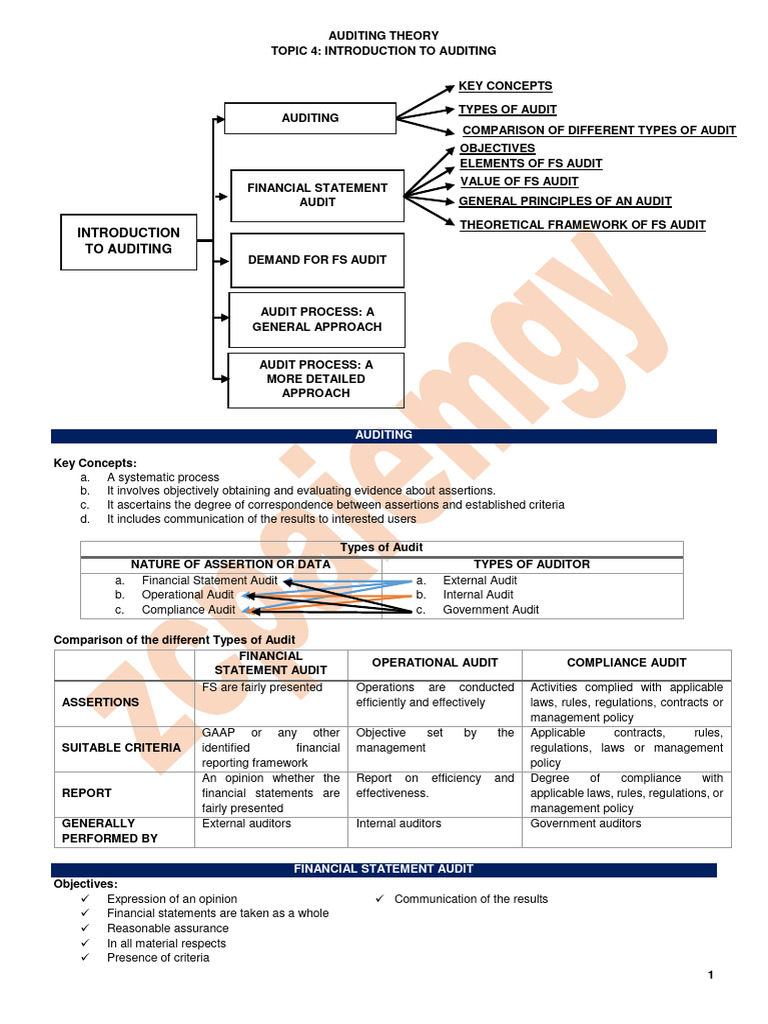 Auditing Basics for Accounting Students | PDF | Audit | Financial Audit