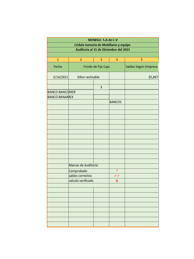 Cédula Sumaria de Auditoría 2021 | PDF