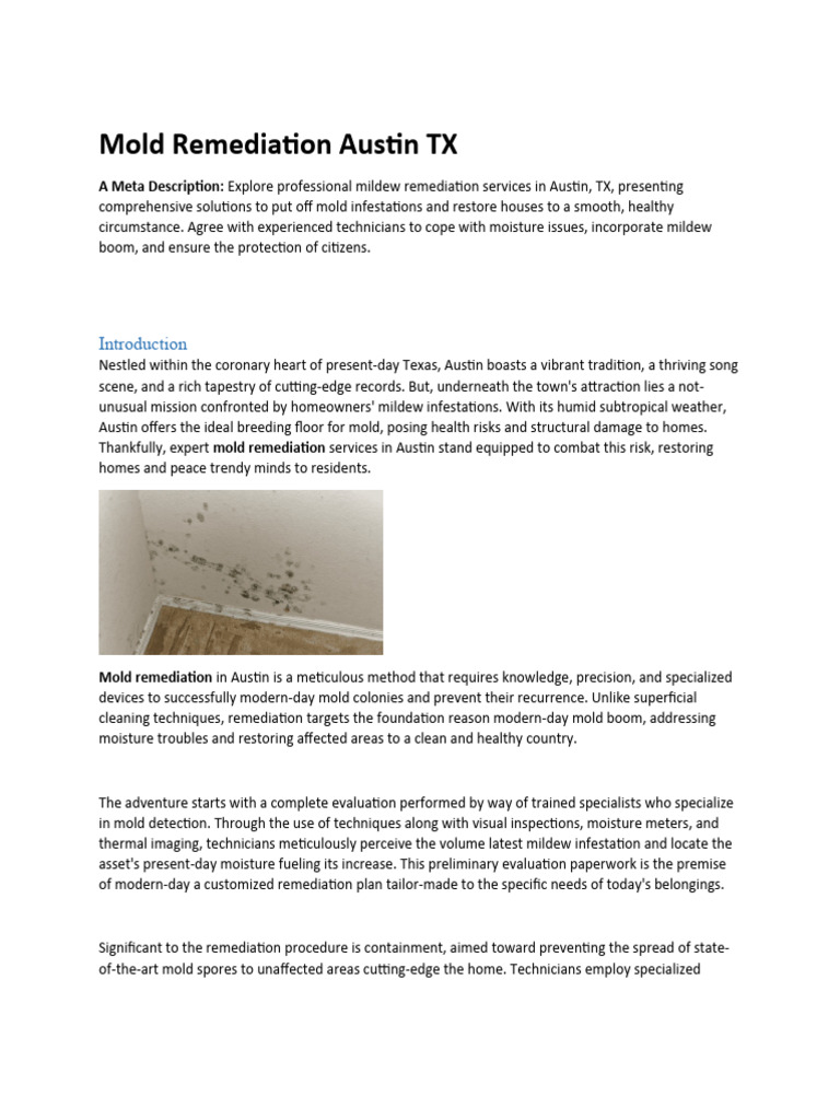 Mold Remediation Services in Austin TX | PDF | Mold