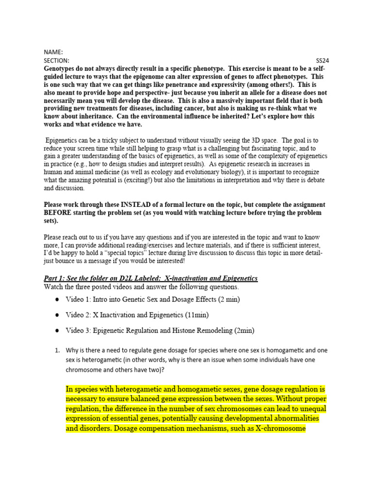 Understanding Epigenetics and Gene Expression | PDF | Epigenetics | Histone