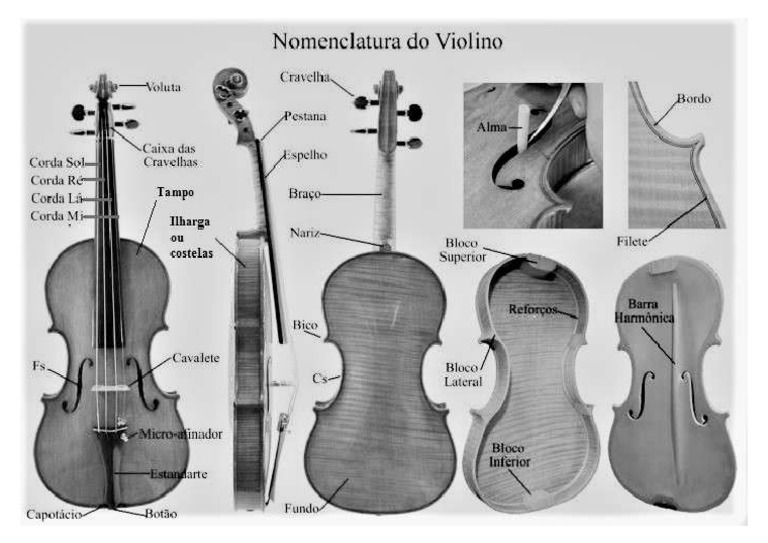 Partes do Violino | PDF