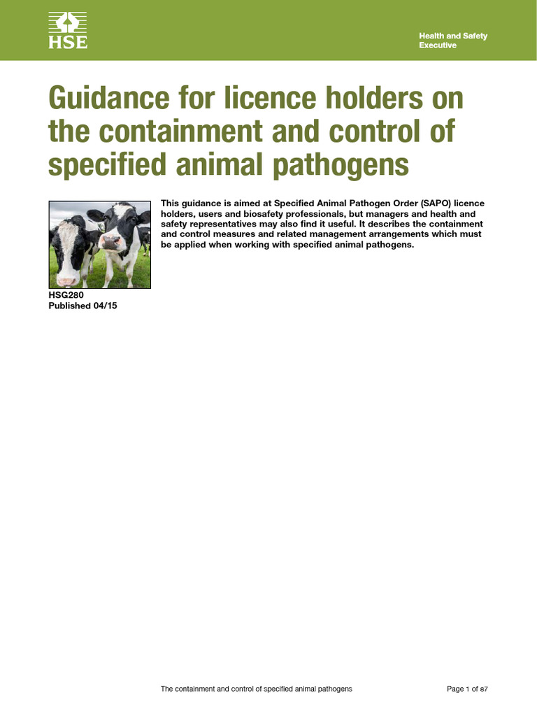 HSE Gov UK | PDF | Occupational Safety And Health | Risk