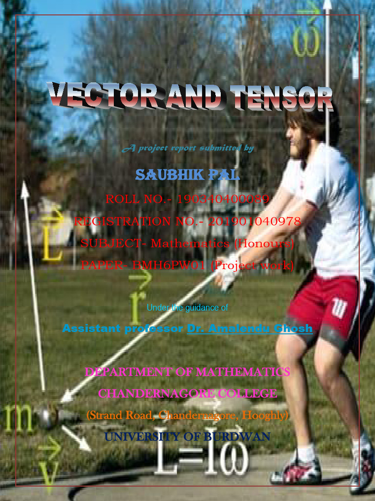 Saubhik_Pal_ WORD PDF FINAL | PDF | Tensor | Euclidean Vector