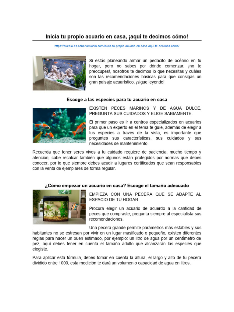 Cómo iniciar un acuario en casa | PDF | Acuario | Agua